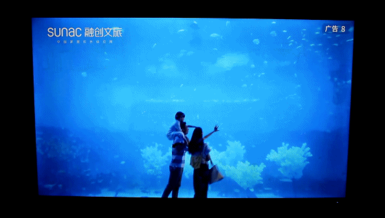 良心配置 价格屠夫！乐融Y65 Letv电视体验_原创_新浪众测