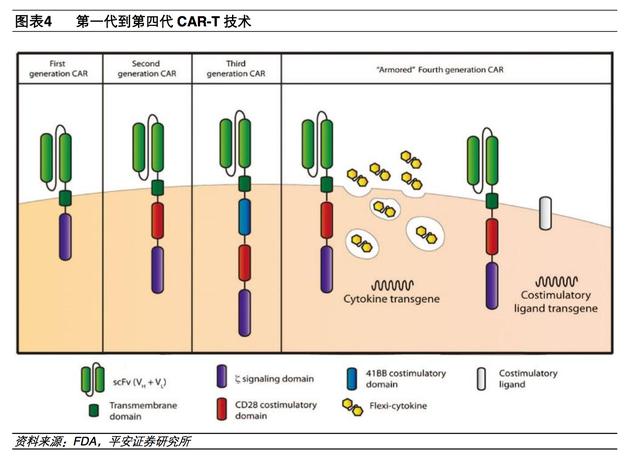 CAR-T 免疫细胞疗法：最有可能治愈癌症的方向__财经头条