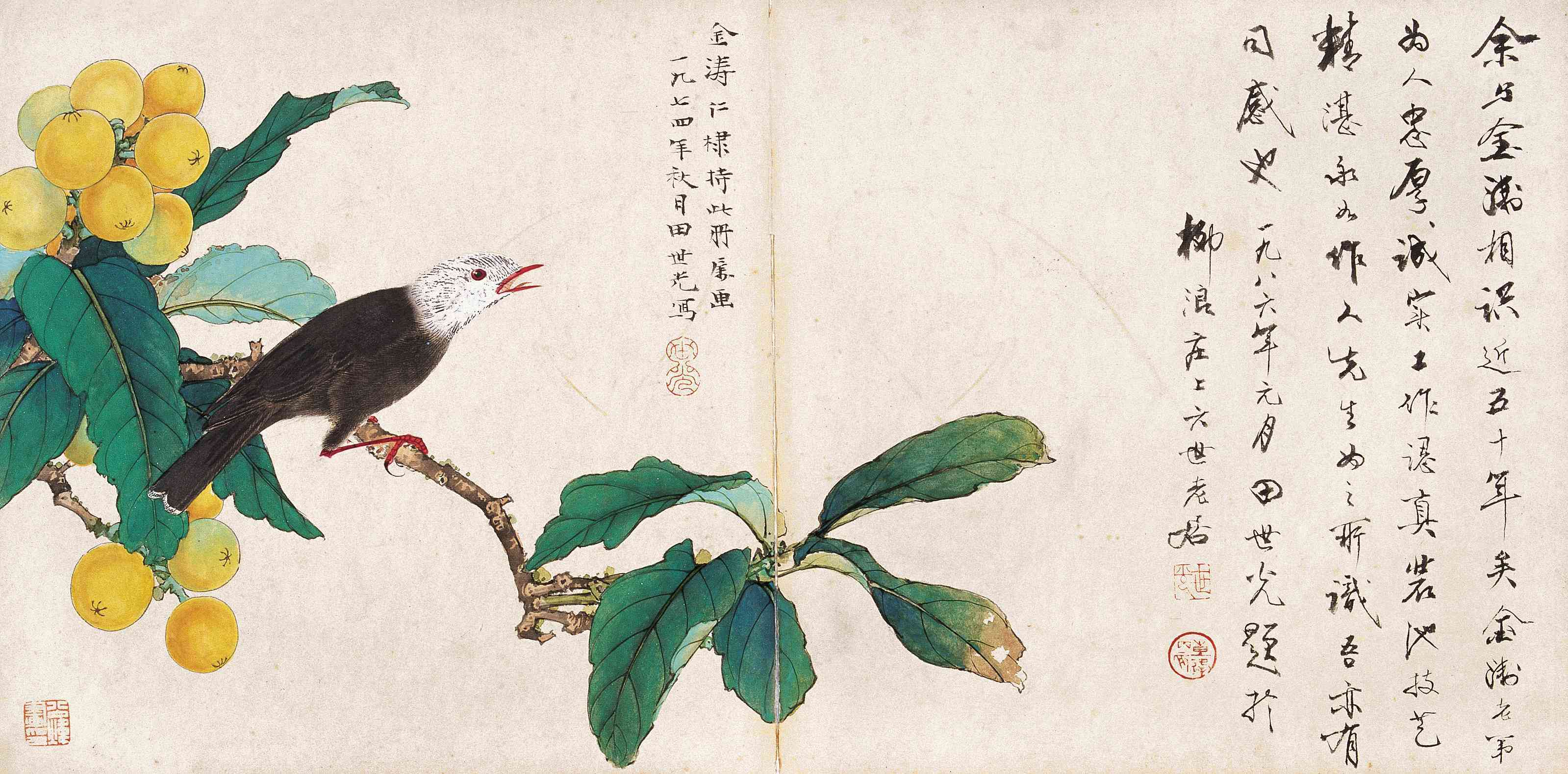 枇杷小鸟_枇杷小鸟图片,鉴赏,作品_新浪美术馆_新浪网